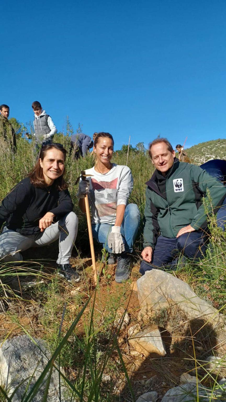 Salud del planeta - Sanitas